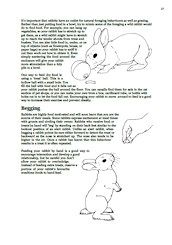 Rabbit Behaviour - Understanding your Rabbit's Habits