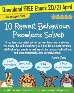 Free Ebook 10 Rabbit Behaviour Problems Solved