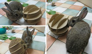 DIY Bunny Toys – Slotted Cardboard Balls